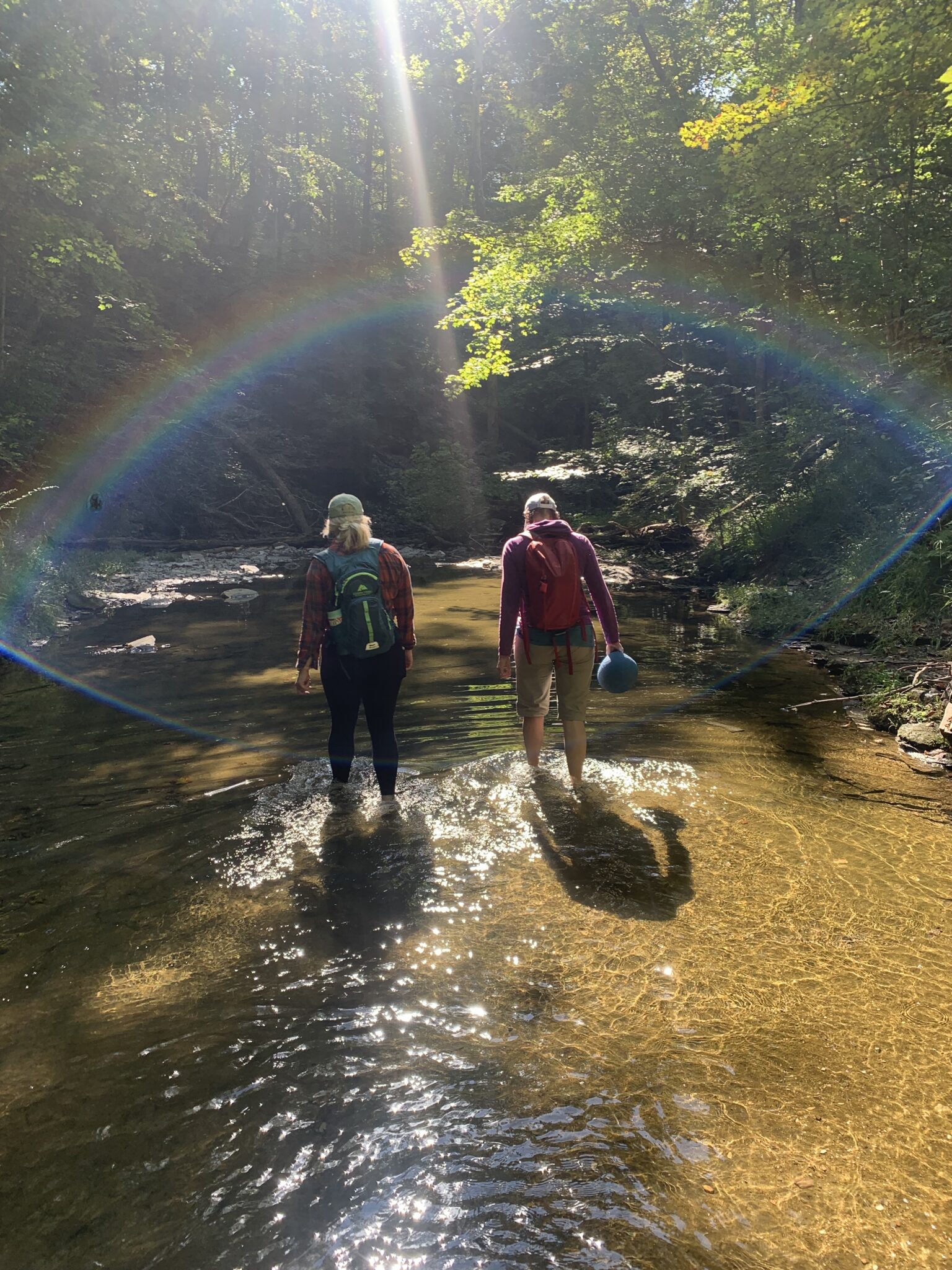 Adventure Therapy: Experiential Approaches for Effective Treatment ...